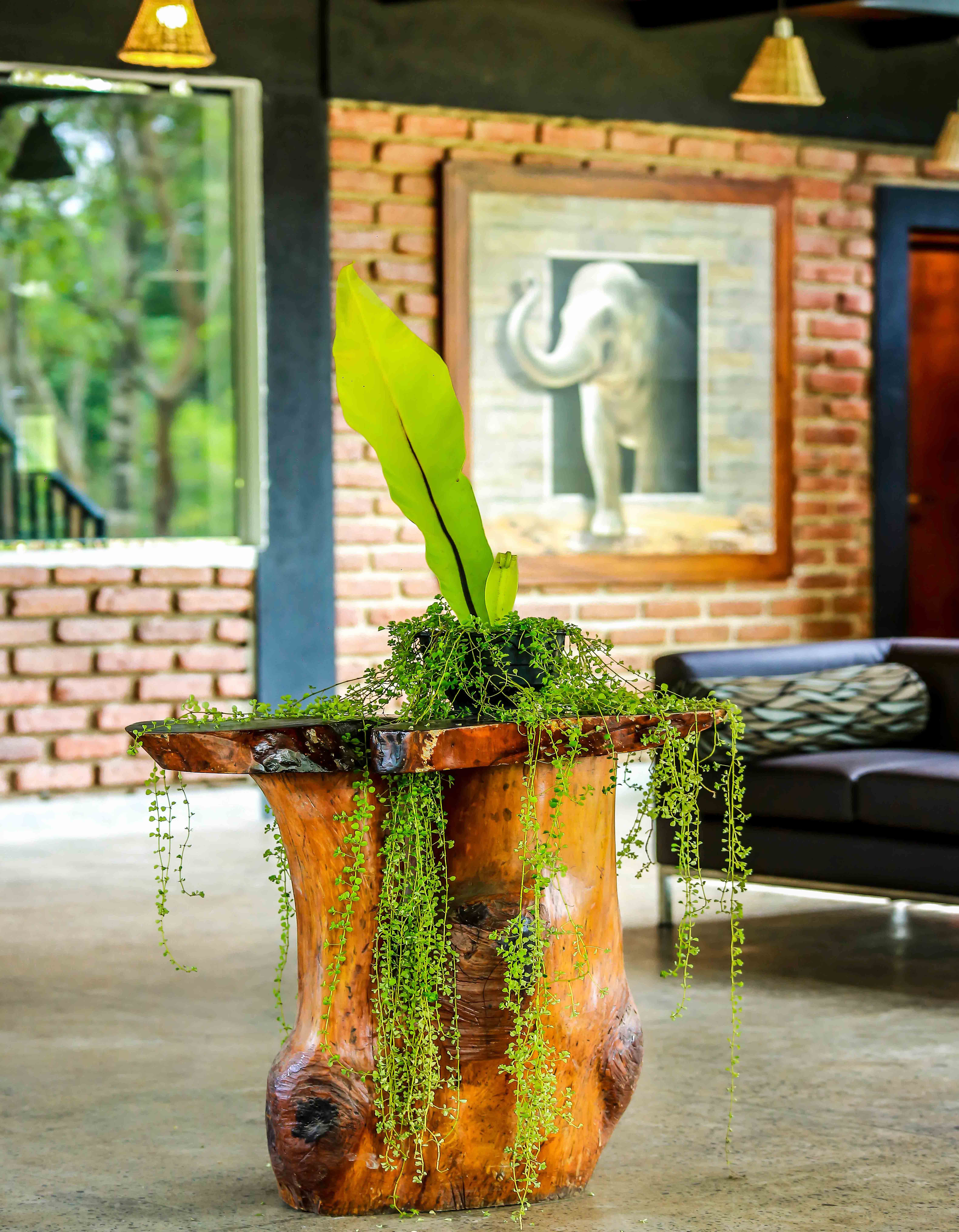 Welcome to Doola River Edge | Gallery