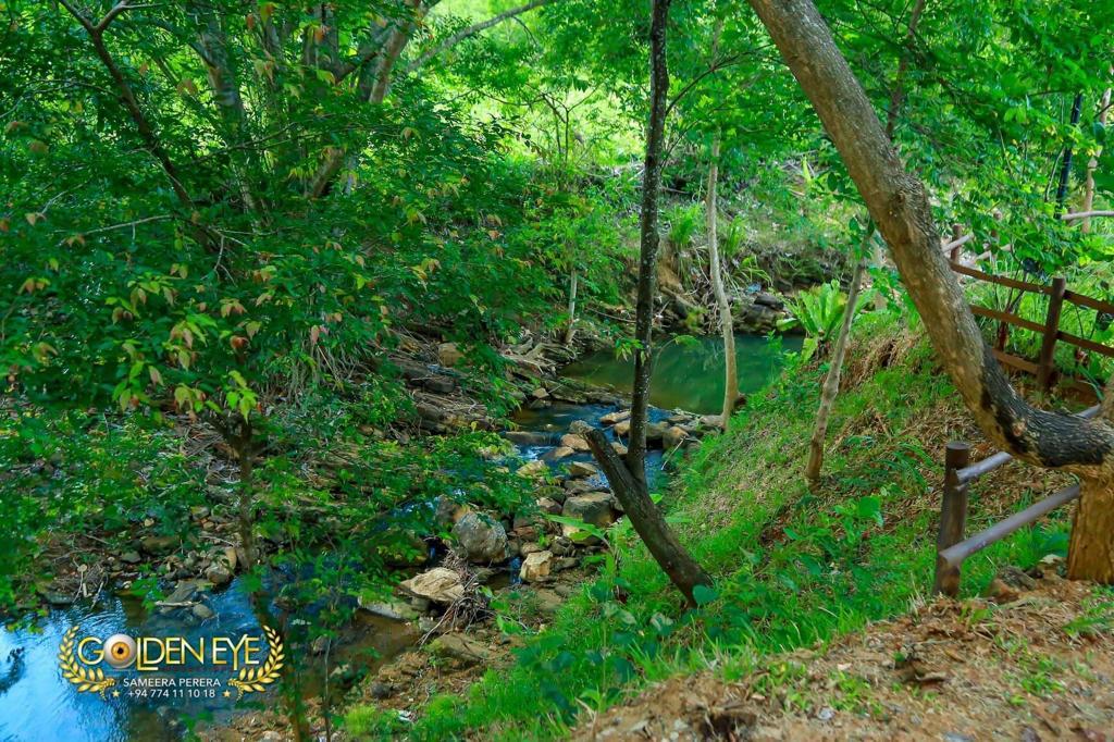 Welcome to Doola River Edge | Home